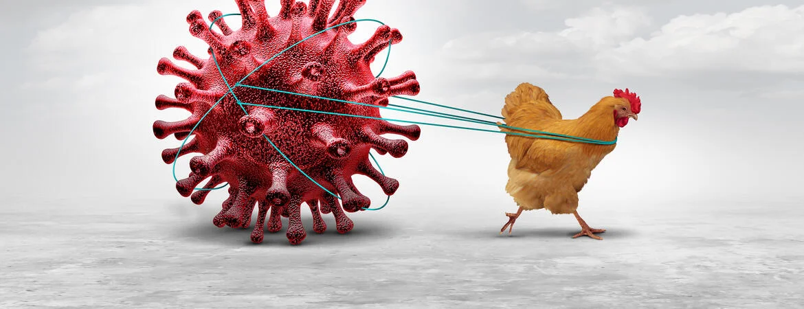 First Human Bird Flu Case with No Animal Exposure Confirmed by CDC - By ...